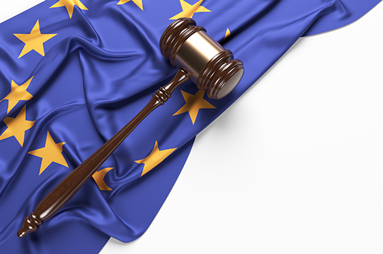 Annual European Competition Review 2021 | McDermott