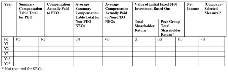 SEC Adopts Final Pay Versus Performance Rules - McDermott