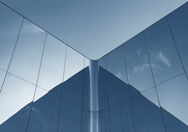 Fifth Circuit reinstates legacy HSR forms